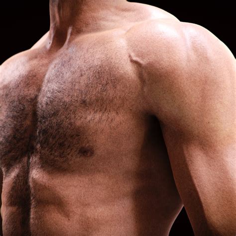 Anatomy Sculpt In Blender R3dmodeling