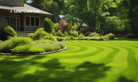 How Regenerative Lawn Practices Revive Our Ecosystems Lawn Care Lab