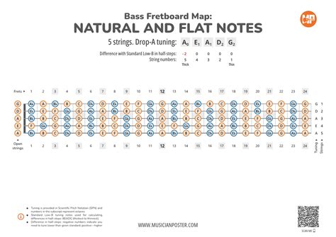 5 String Bass Fretboard Map With All Notes In Drop A Tuning