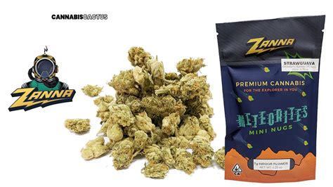 Zanna Cannabis Strawguava