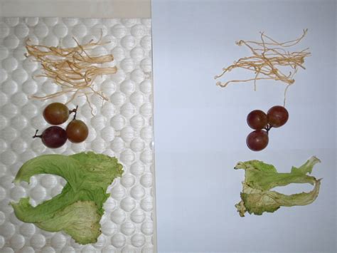 Other Specialty Paper Products Eli Paper Enterprise Co Ltd