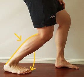 Exercises To Improve Ankle Dorsiflexion Posture Direct