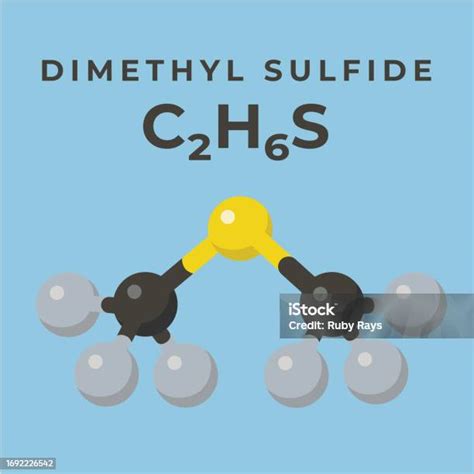Dimethyl Sulfide Compound Vector Illustration Stock Illustration