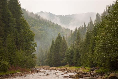 Forest River Бесплатное фото на Pixabay