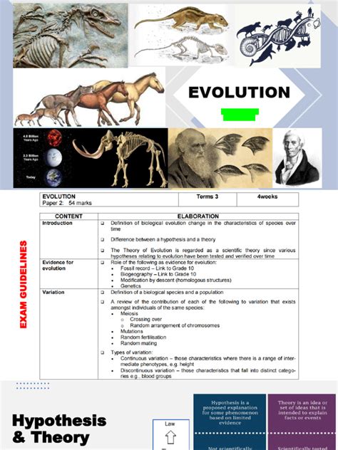 Evolution By Natural Selection Guide Pdf Evolution Science