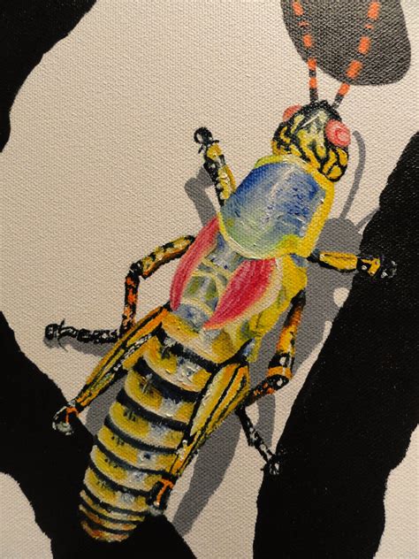 Grasshopper On A Zebra Print 10 X 12 In Etsy