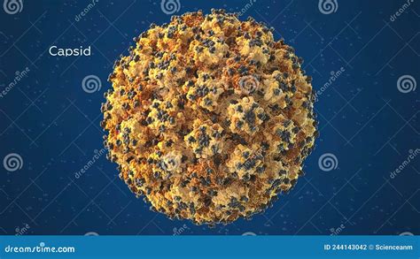3d Microbiology 3d Illustration Of The Capsid Protein Shell Of A Virus