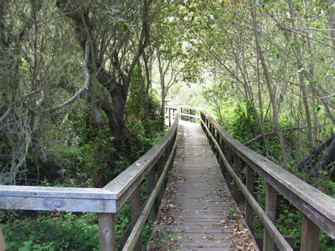 San Simeon State Park All You Need To Know Before You Go Updated