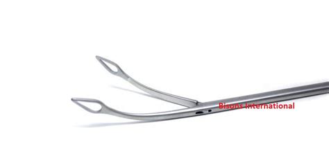Buy Snake Angled Forceps Long Reach Curved Surgical Clamp Stainless