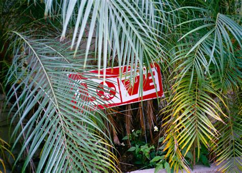 Street Sven Davisson