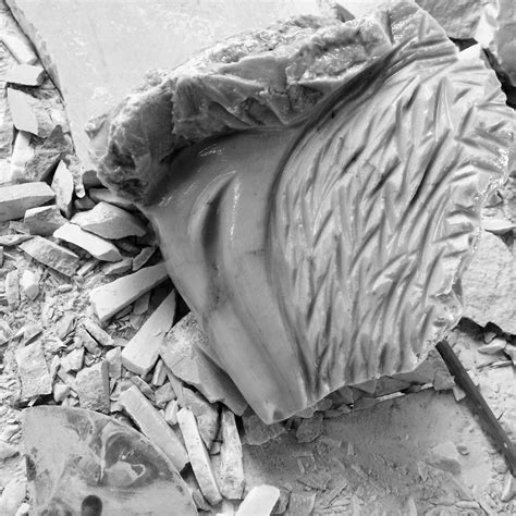 Matreirice Elevada Nuno Prego