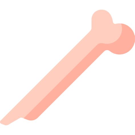 Zeroa Special Flat Icon