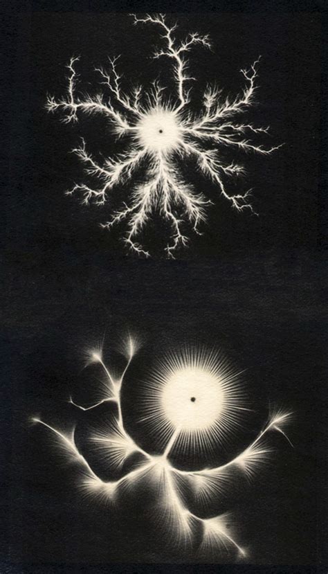 Electrical Discharge Patterns Top Positive Charge Bottom Negative