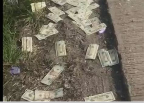 Пачки с пари се разпиляха от автомобил шофьори спират да грабят с пълни шепи