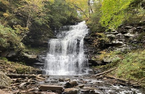 10 Best Hikes And Trails In Ricketts Glen State Park Alltrails