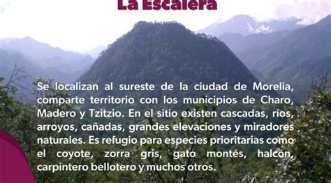 Secma Pico Azul La Escalera Refugio De Especies Prioritarias