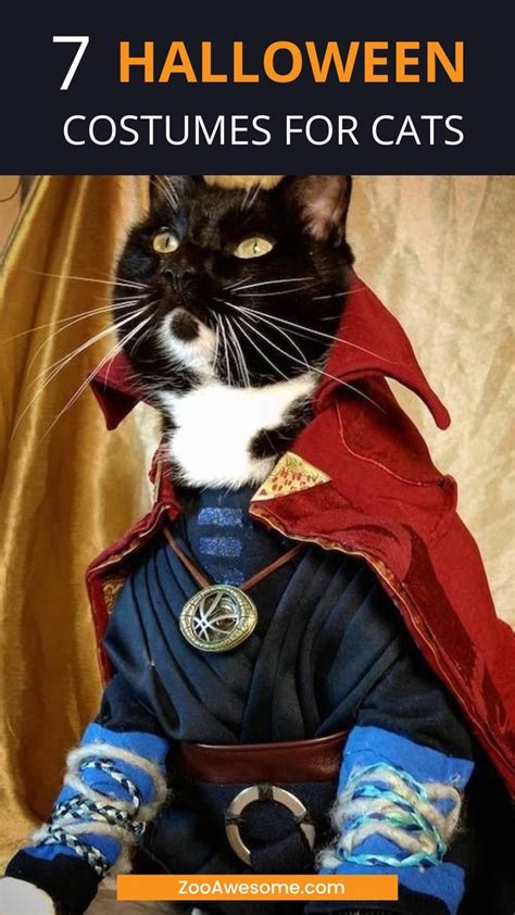 7 Halloween Costumes For Cats Artofit
