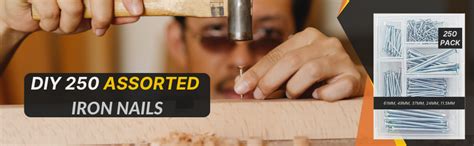 250pk Assorted Nails For Wood Iron Nails For Hanging Pictures Long