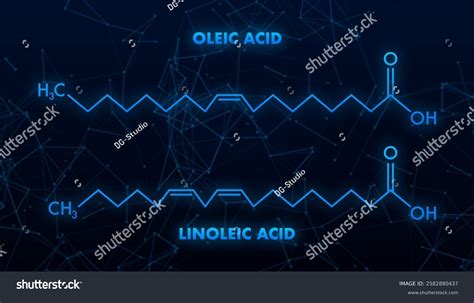 Oleic Acid Linoleic Acid Structural Formulas Stock Vector Royalty Free