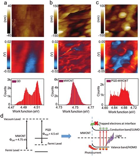 A C Kpfm Measurement Of Work Function Of Pqd Mwcnt And Pqd Mwcnt Download Scientific Diagram
