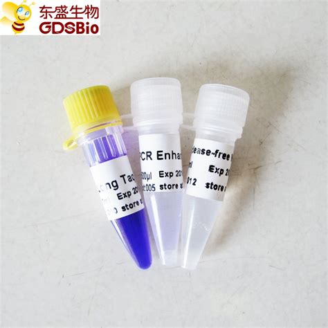 High Specificity Long Taq Mix With Pcr Buffer Kit China Taq Dna
