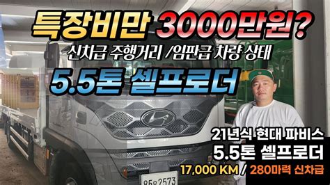 현대 파비스 55톤 셀프로더 주행거리가 17000km 특장비만 3000만원 신차급 가성비 특장차 Youtube