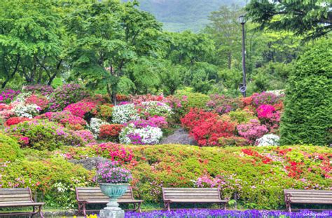 Hakone Gora Park Lakbayer