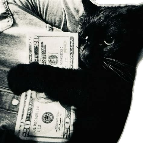 Pin By Mari On Quick Saves Black Cat Aesthetic Y2k Profile Picture