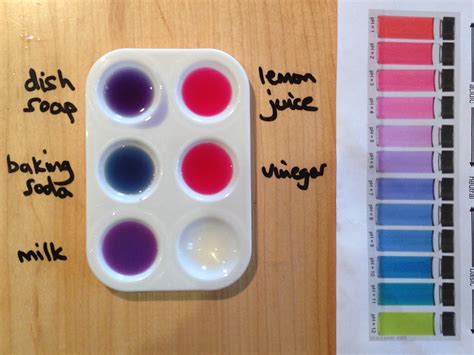 Red Cabbage Dye And Ph Indicator Ingridscience Ca