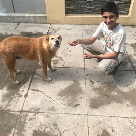 Adhirath Star Youtube