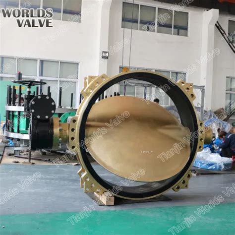 One Piece Body Aluminum Bronze Brass Wafer Type Butterfly Valve With