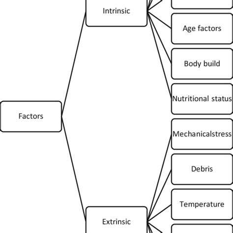 Flow Chart Showing The History Of Nanotechnology Download Scientific