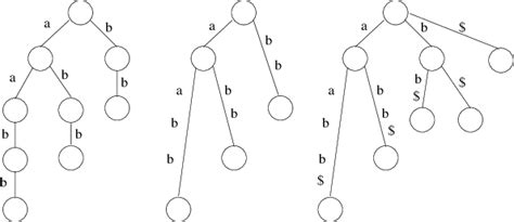 Suffix Trie Of S Aabb Left Implicit Suffix Tree Of S Center And Download Scientific