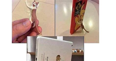 Heave Ho Heave Men I Mean Uhh Heave Kitties Album On Imgur