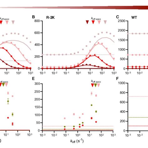Steady State Phosphorylation Rate Dependency On Substrate Concentration