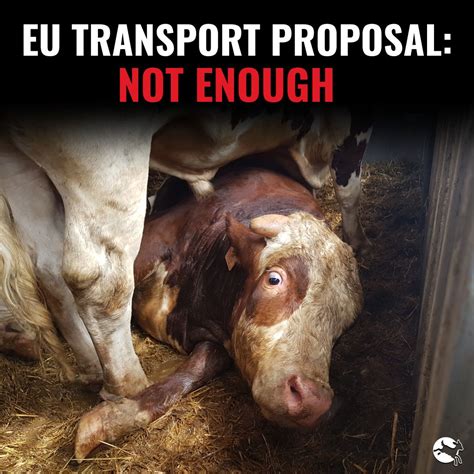 Adrian Bleese Posted On Linkedin