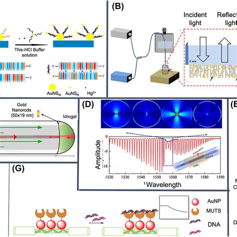 spatially resolved nanoparticle assisted label free biosensors