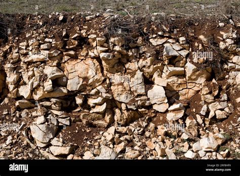 Leptosol Is A Very Shallow Soil Over A Hard Rock This Photo Was Taken