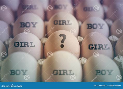 Hand Points To Egg Gender Or Sex Selection Stock Image Image Of Idea