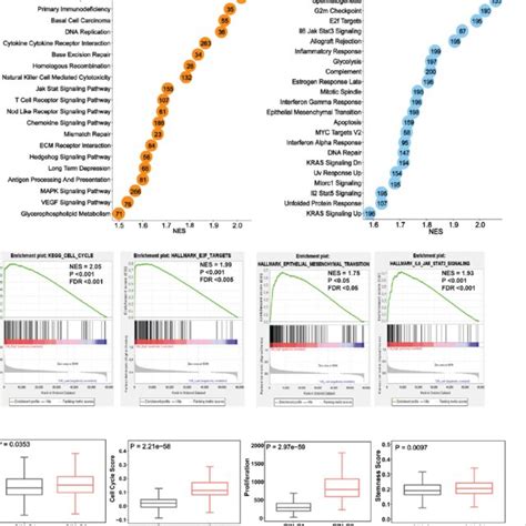 Cin25 Signature Based Classification Of Ccrccs A Consensus Download Scientific Diagram