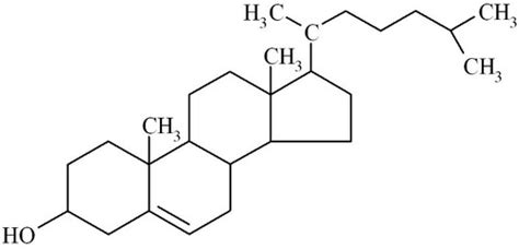 Midterm Biochem Flashcards Quizlet