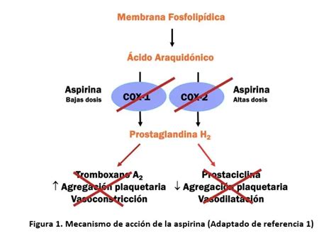 Mecanismo De Acción De La Aspirina Una Revisión Completa Mecanicos