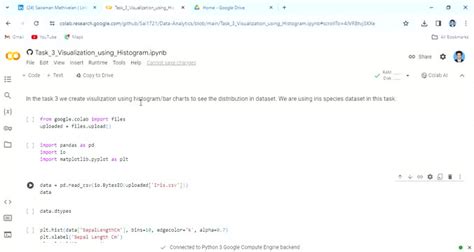 Internship Task Visualization Using Histogram At Technohacks