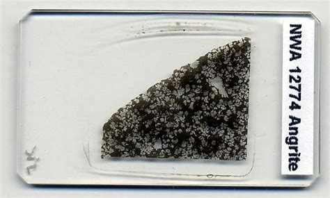 Nwa 12774 Angrite