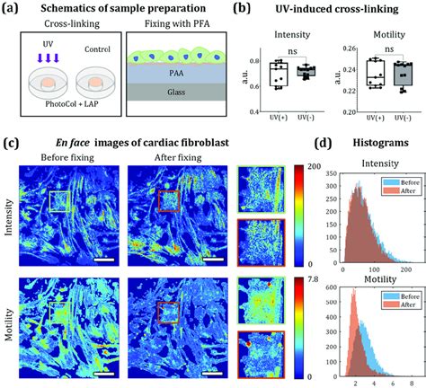 A Schematic Representation Of Samples Used In The Feasibility Download Scientific Diagram
