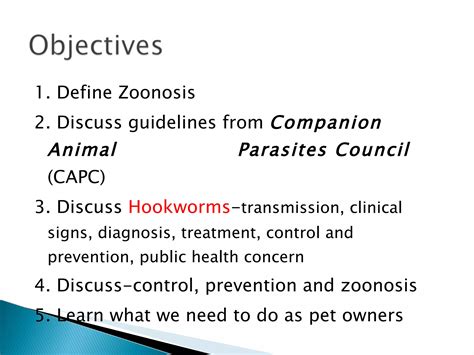 Woodstock Vet Clinic Hookworms Ppt