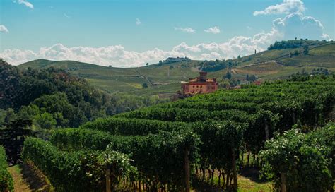 Una Nuova Iconica Etichetta Tenuta Carretta Presenta Il Barolo Riserva Cannubi 2018 Collezione
