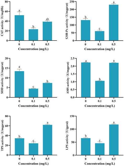 Activities Of Digestive And Antioxidant Enzyme Of The Juvenile M