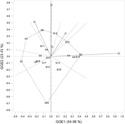 Polygon View Of Gge Biplot Based On Principal Components For Genotypes