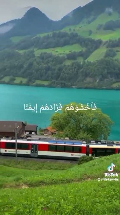 محمد ايوب Youtube